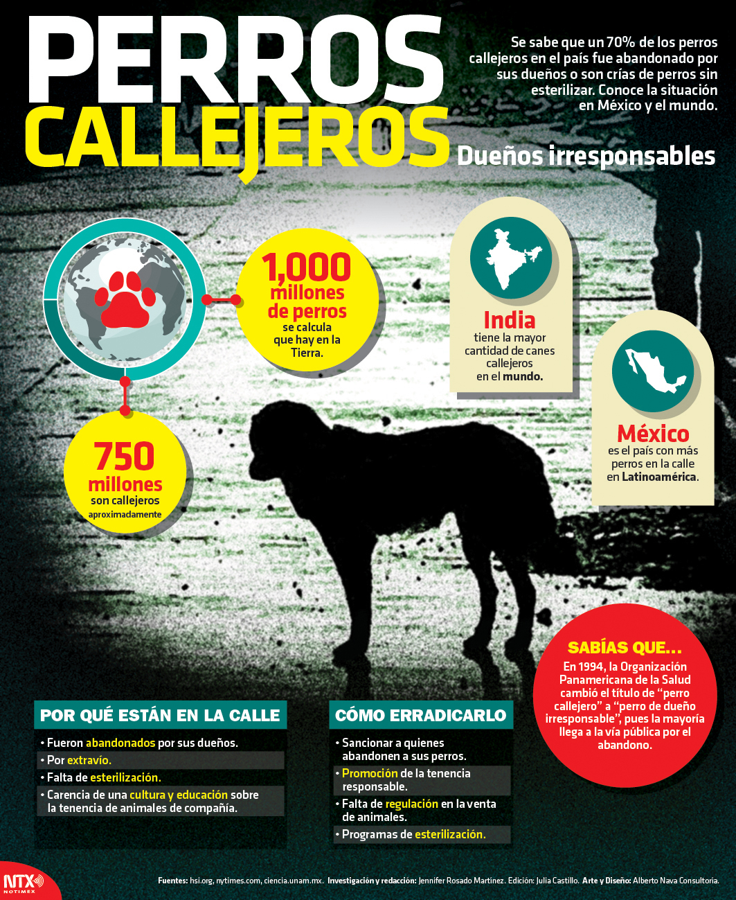 Hoy Tamaulipas - Infografía: Perros callejeros, dueños irresponsables