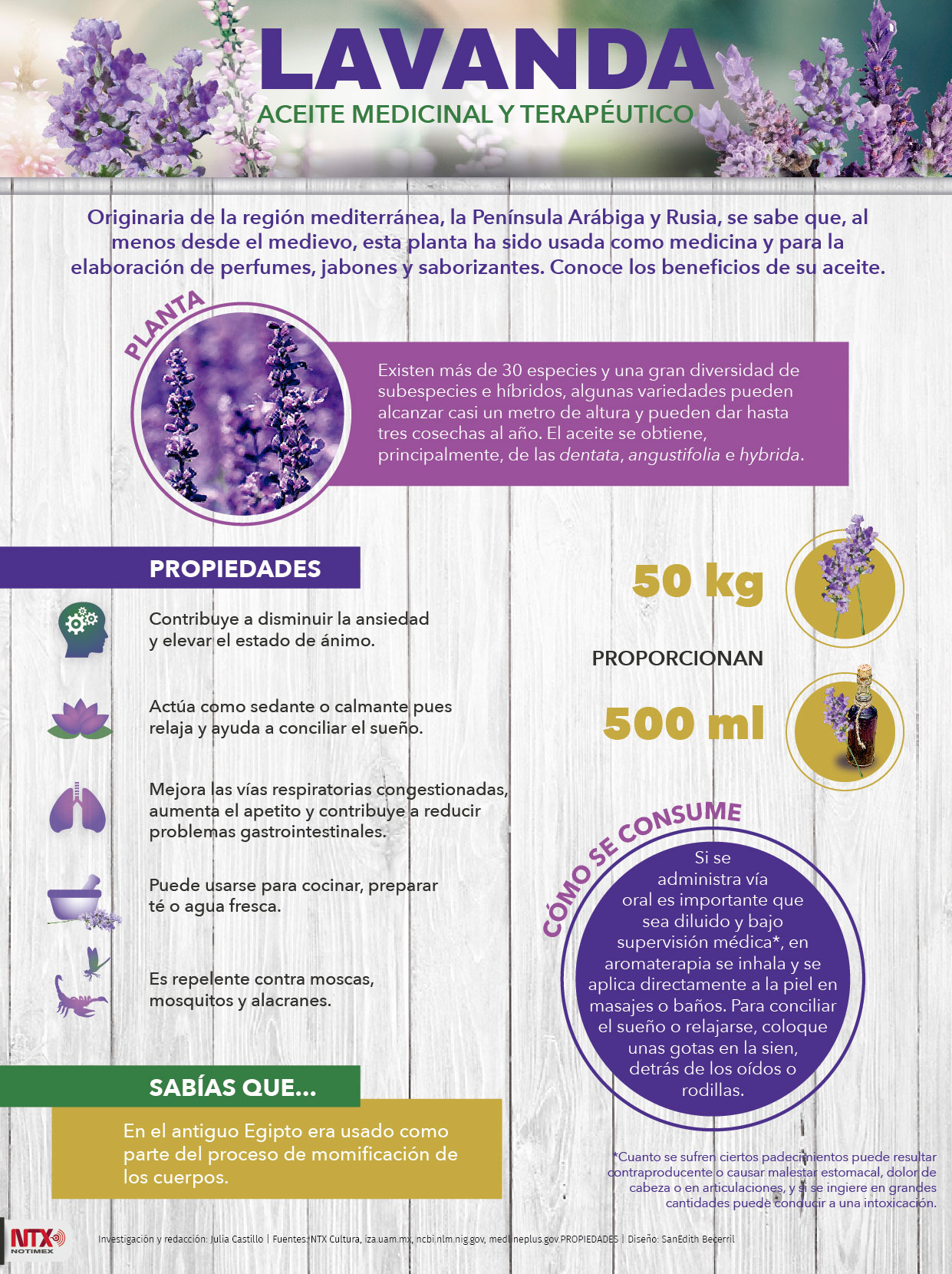 Hoy Tamaulipas - Infografía: Lavanda aceite medicinal y terapéutico