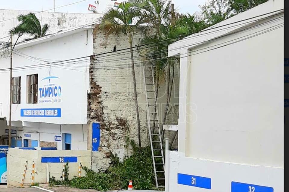 Hoy Tamaulipas - Abejas atacan a tres empleados del Ayuntamiento de Tampico Hoy Tamaulipas - Abejas atacan a tres empleados del Ayuntamiento de Tampico