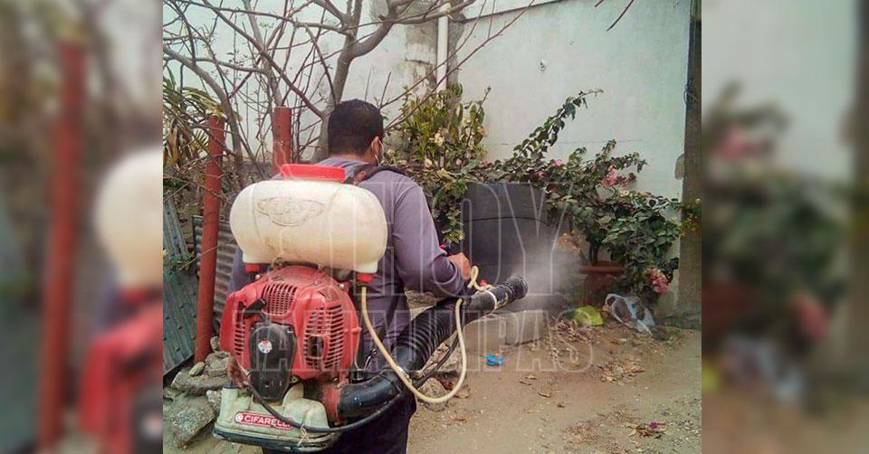 Hoy Tamaulipas - Tamaulipas Refuerzan Acciones de Fumigacion contra el Dengue en Ciudad Madero