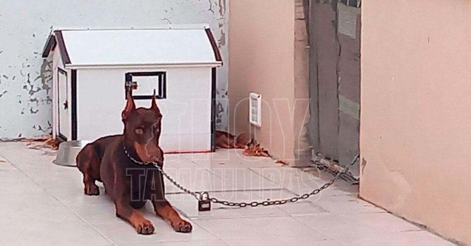 Galeria Fotografica Detienen A Sujeto Que Golpeaba Salvajemente A Su