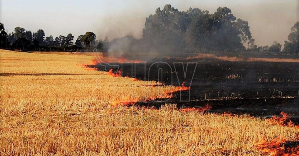 Hoy Tamaulipas - Incendio en Tamaulipas Devastador incendio arrasa con ... Hoy Tamaulipas - Incendio en Tamaulipas Devastador incendio arrasa con ...
