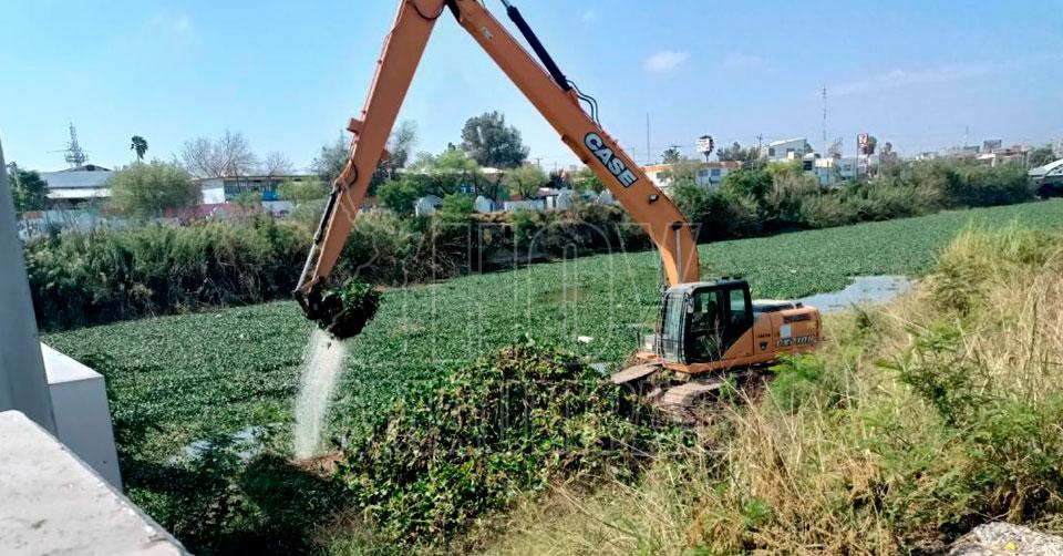 Hoy Tamaulipas - Tamaulipas Reanudaron limpieza de lirio acuatico en canal de Reynosa