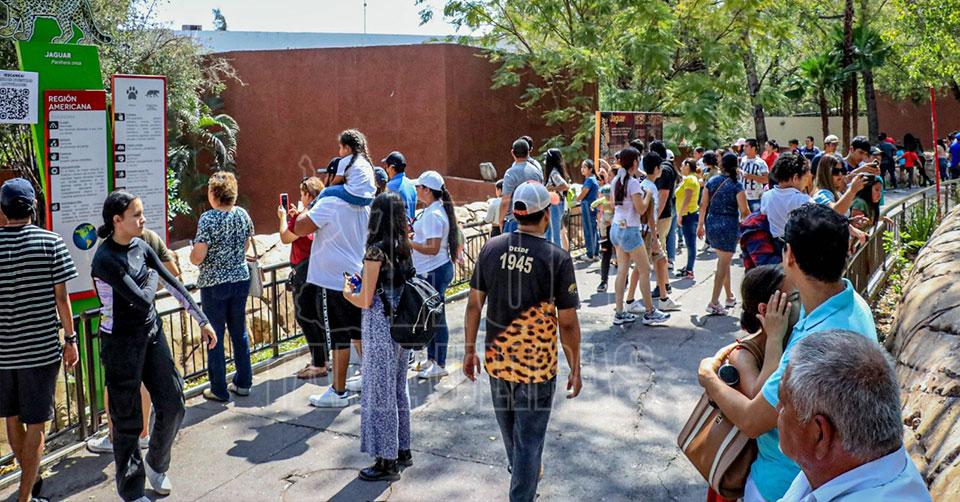 Hoy Tamaulipas - Tamaulipas Zoologico de Tamatan permanecera cerrado ... Hoy Tamaulipas - Tamaulipas Zoologico de Tamatan permanecera cerrado ...