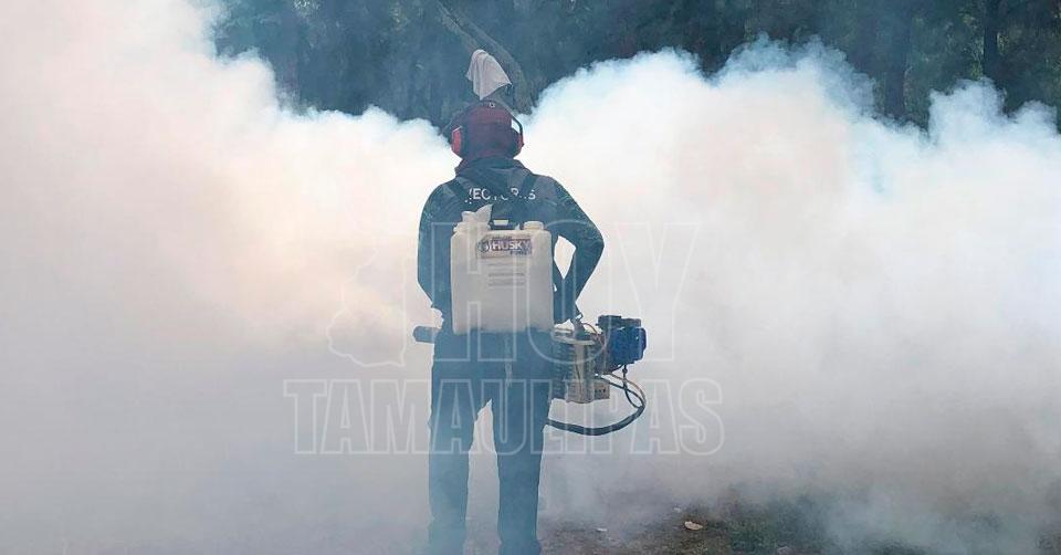 Hoy Tamaulipas - Detectan por semana hasta siete casos sospechosos de dengue en Matamoros