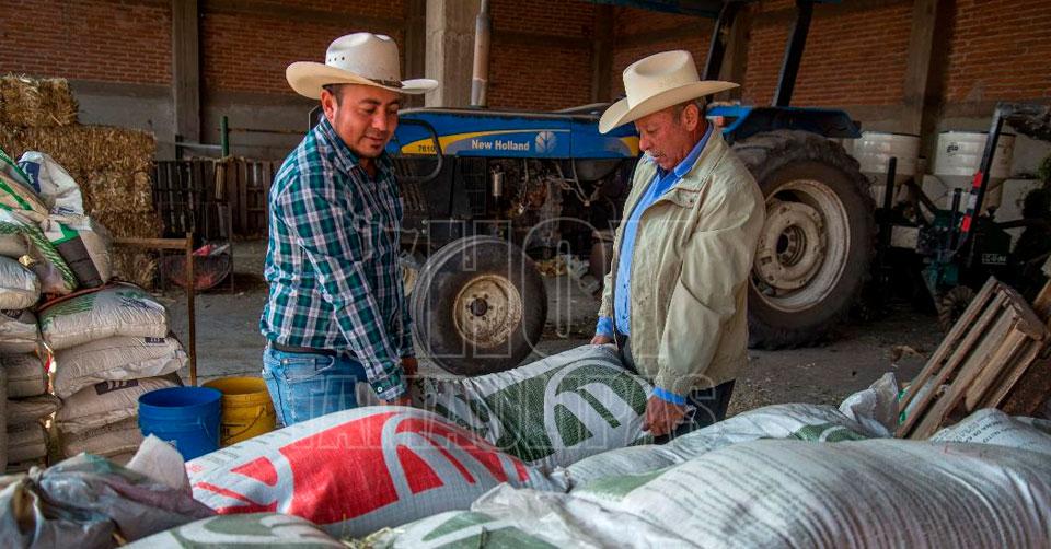Hoy Tamaulipas Entregara Agricultura Mas De 29 Mil Toneladas De