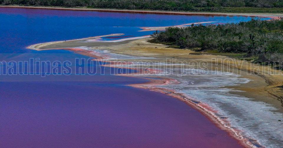 Hoy Tamaulipas - Foto del Dia: Laguna Rosa