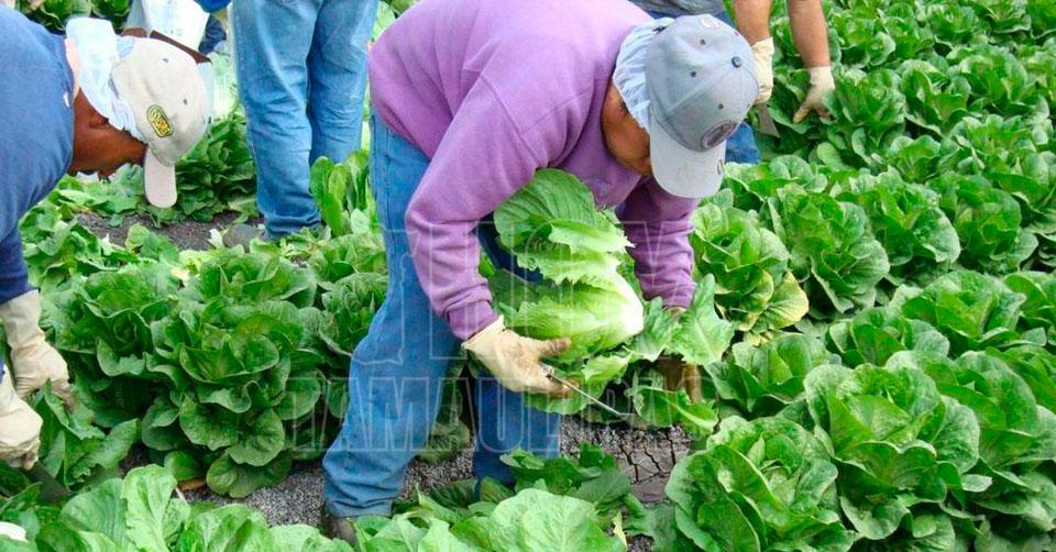 Hoy Tamaulipas - Avanzan Mexico y Estados Unidos en fortalecimiento de ... Hoy Tamaulipas - Avanzan Mexico y Estados Unidos en fortalecimiento de ...