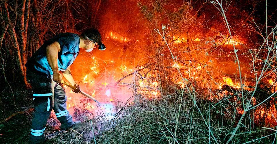 Hoy Tamaulipas - Tamaulipas Gonzalez en alerta maxima por incendios Hoy Tamaulipas - Tamaulipas Gonzalez en alerta maxima por incendios
