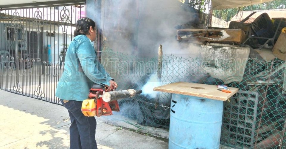 Hoy Tamaulipas - Lluvias ponen en alerta sanitaria a Altamira por ...