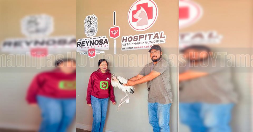 Hoy Tamaulipas - Tamaulipas Reconoce IMSS fallas en el sistema de ...