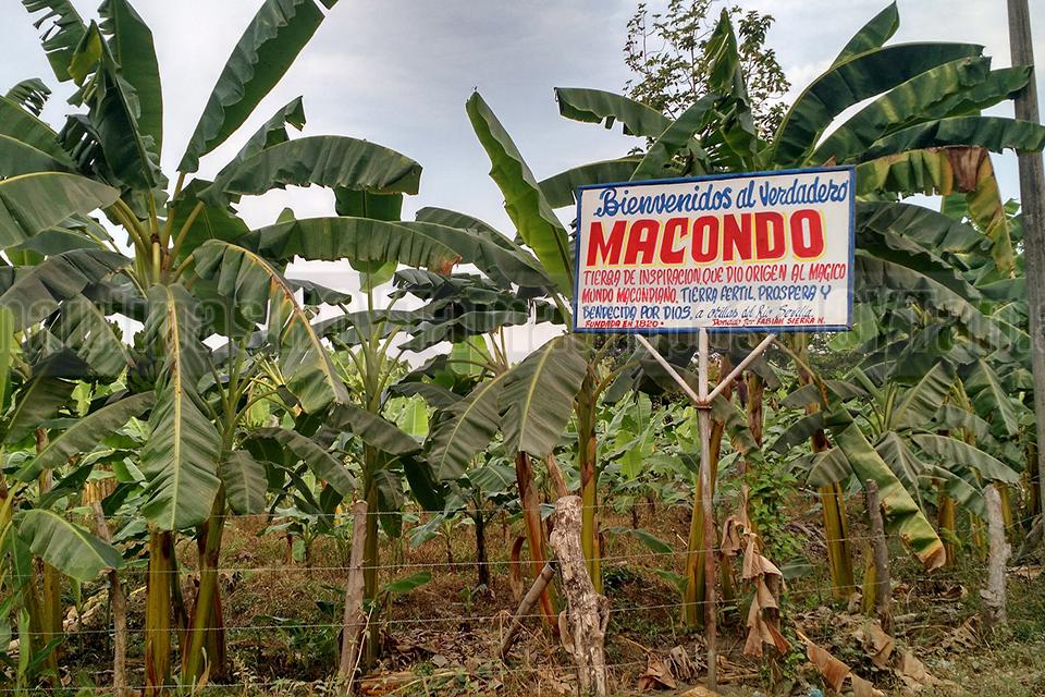 Hoy Tamaulipas - Foto del Dia: Macondo