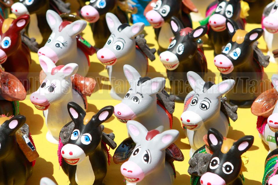 Galeria Fotografica: Día de las Mulas